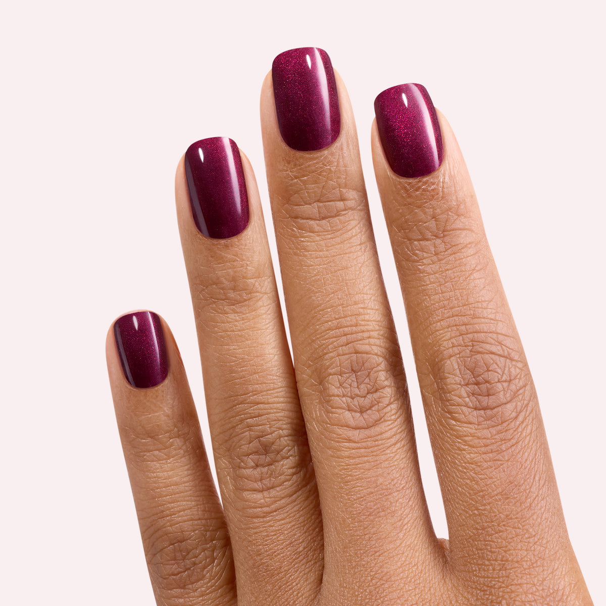 Red Dahlia – Dashing Diva