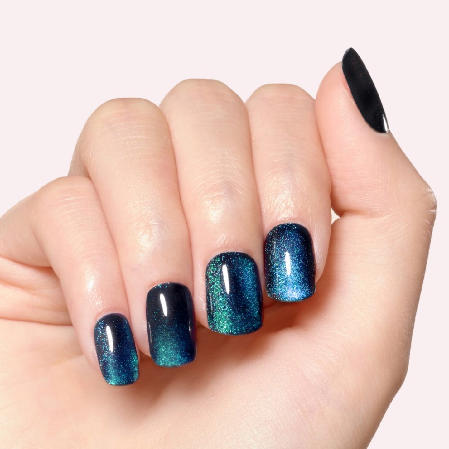 Wish Come Blue – Dashing Diva